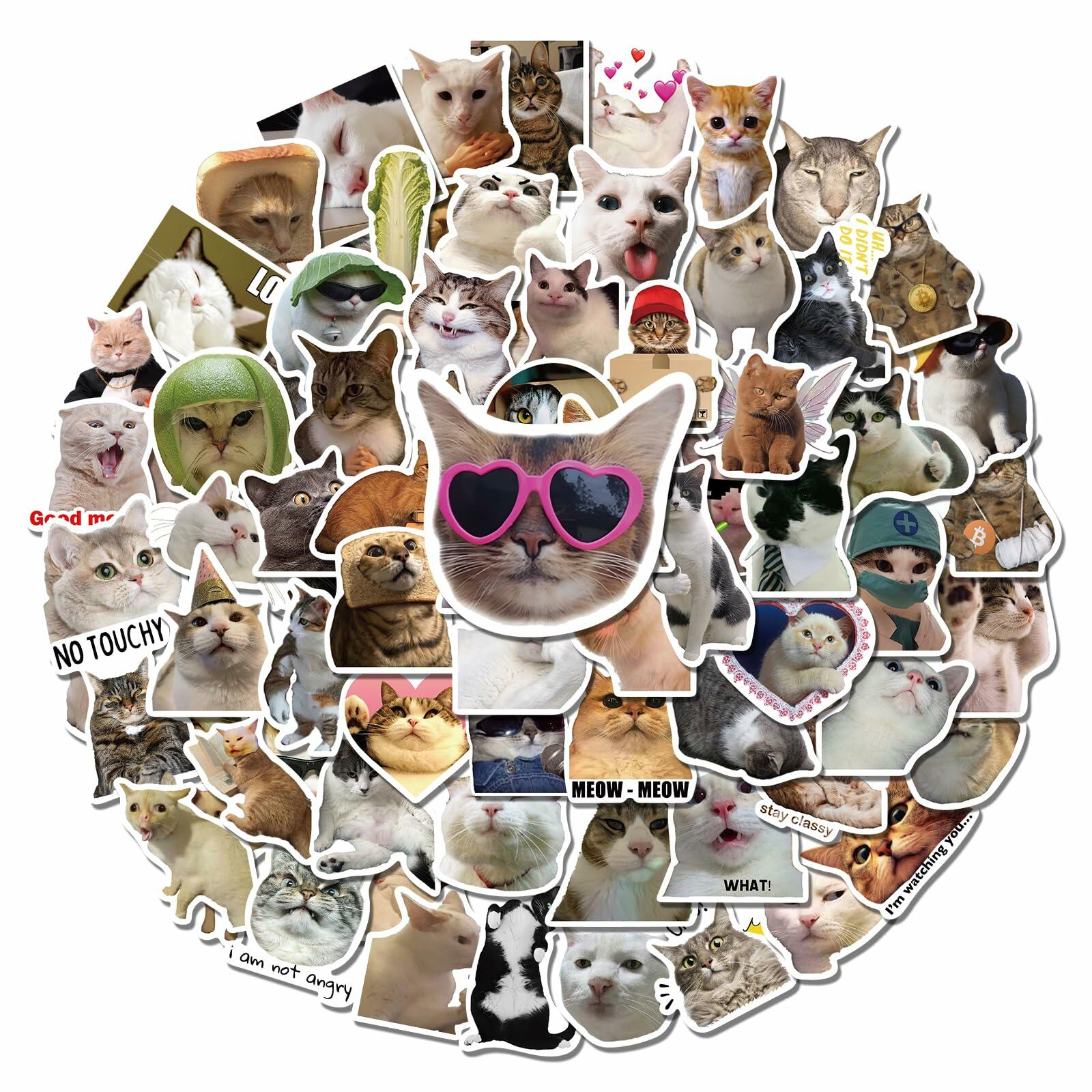 GizmoBox 100pcs Cute Cat Meme Stickers Waterproof Vinyl Decals for Lap ...